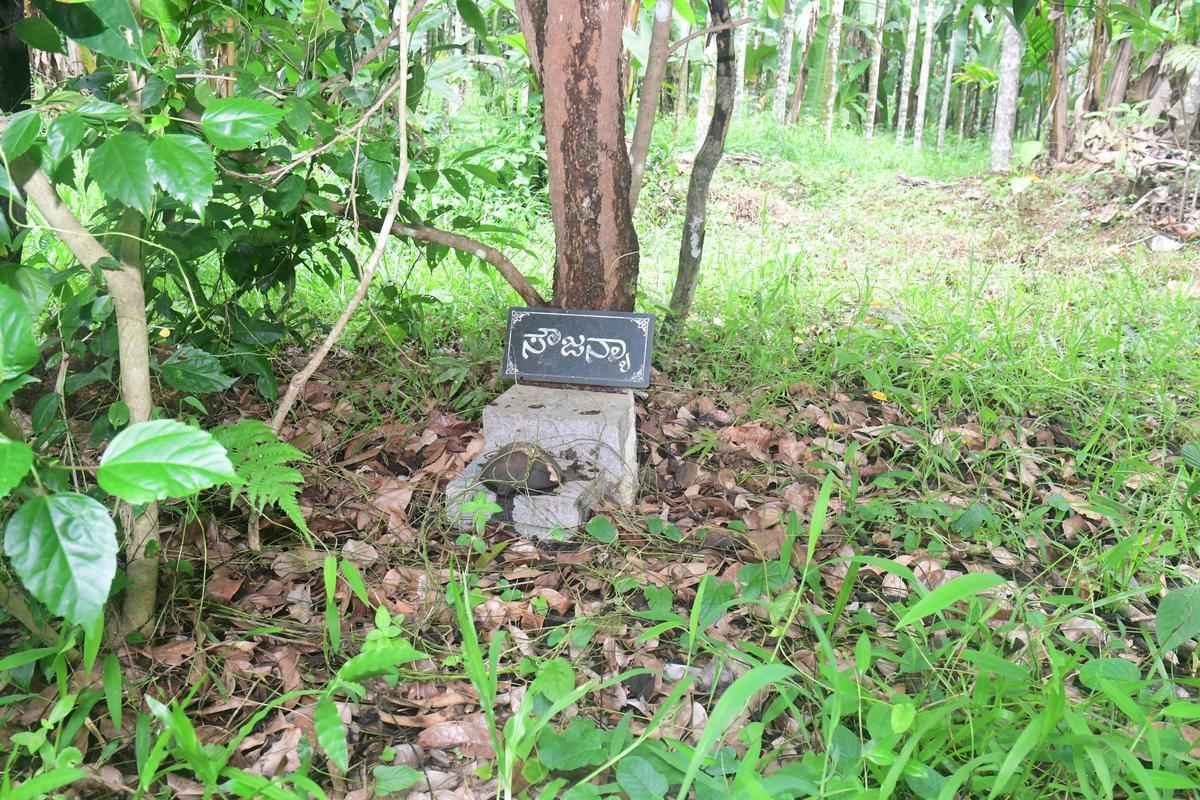 Santosh Rao, Kusumavati File SLPs In Supreme Court, Seek ...